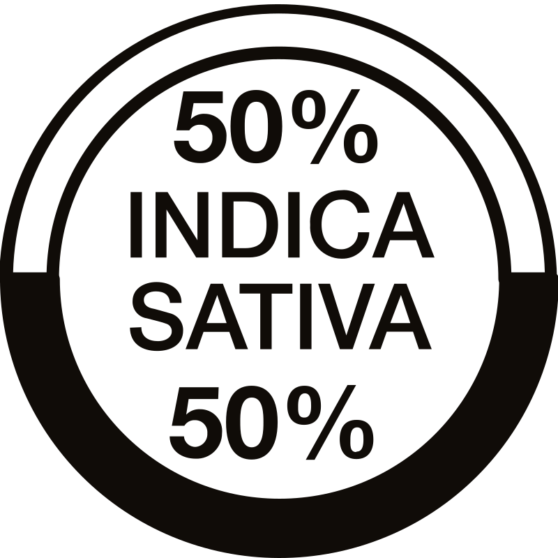 Купить семена Auto Big Devil №2 SWS20 feminized, Sweet Seeds : 4 авто ...